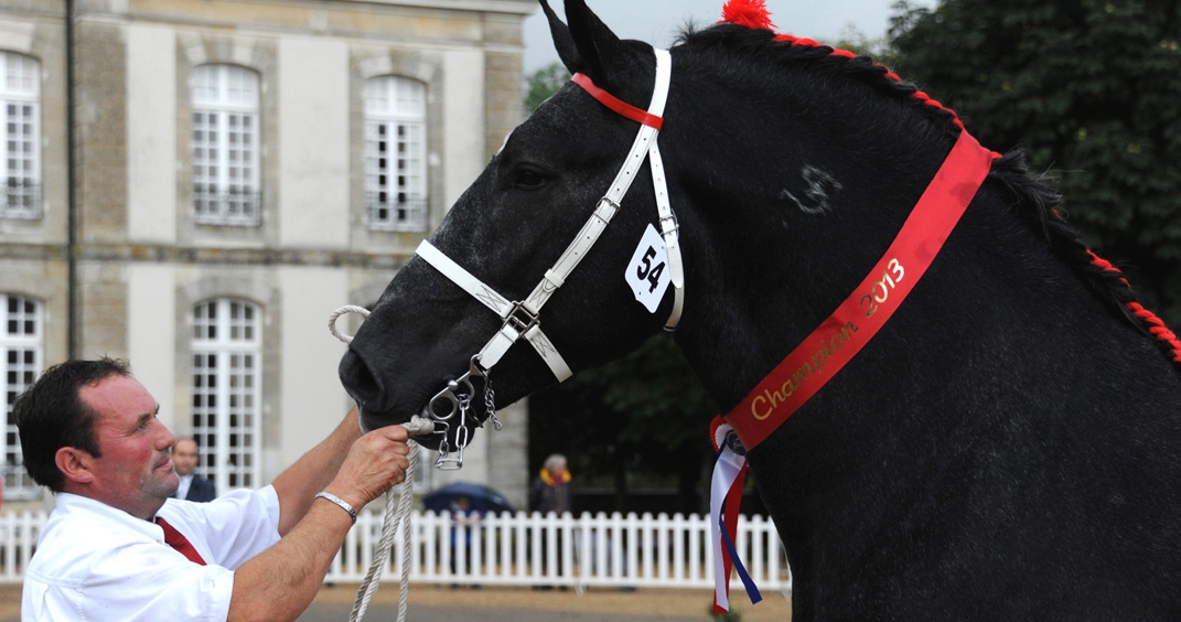 Décès de Pascal Vallée - Actualités