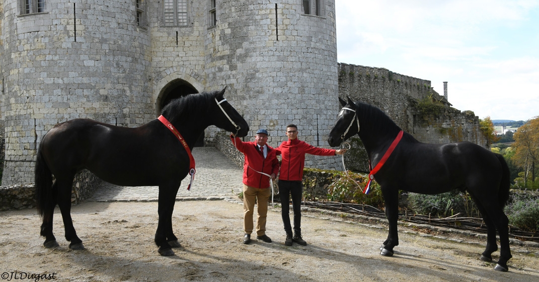 Deux champions nogentais - Actualités
